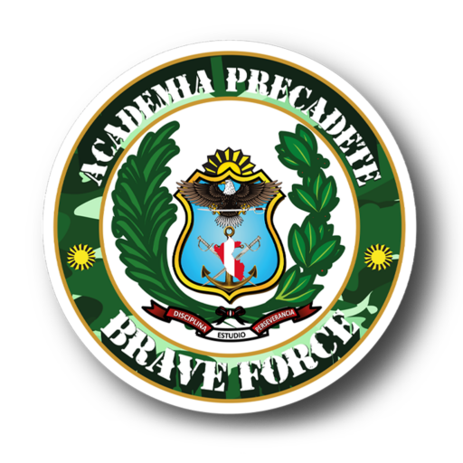 Programas - Academia Brave Force